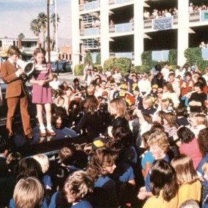 Cinnamon Idles - Rotten Tomatoes