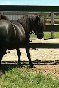 Harry's Practice: Season 1, Episode 2 | Rotten Tomatoes