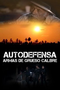 Autodefensa: Armas de grueso calibre | Rotten Tomatoes