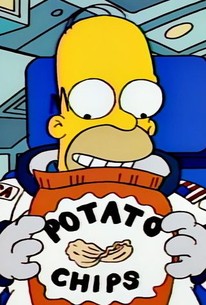 The Simpsons: Season 5, Episode 15 | Rotten Tomatoes