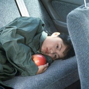 Harmful Insect - Rotten Tomatoes