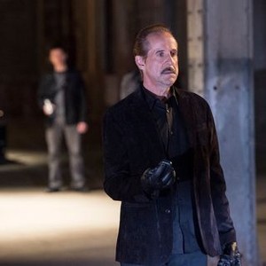 Peter Stormare - Rotten Tomatoes