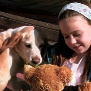 Aussie and Ted's Great Adventure (2009) - Rotten Tomatoes