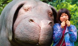 Okja - Trailers & Videos | Rotten Tomatoes