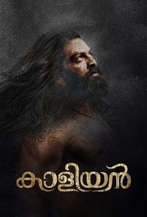 Kaaliyan - Movie Reviews - Rotten Tomatoes