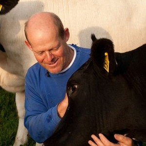 The Moo Man - Rotten Tomatoes