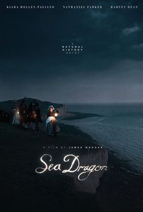 Sea Dragon | Rotten Tomatoes