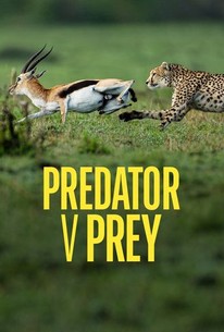 Predator v Prey: Limited Series | Rotten Tomatoes