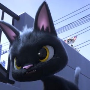 Rudolf the Black Cat - Rotten Tomatoes