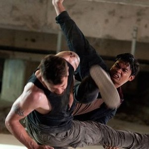 The Protector 2 - Rotten Tomatoes