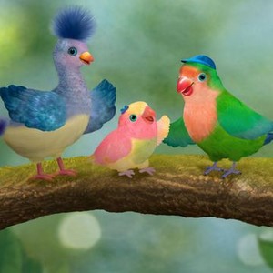 3rd & Bird - Rotten Tomatoes