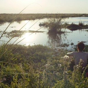 Ignacio Rogers - Rotten Tomatoes