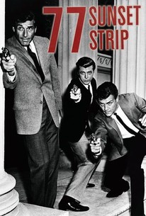 77 Sunset Strip: Season 1 | Cast and Crew | Rotten Tomatoes