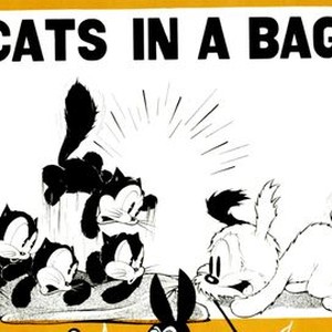 Cats in a Bag - Rotten Tomatoes