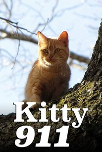 Kitty 911: Season 1 | Rotten Tomatoes