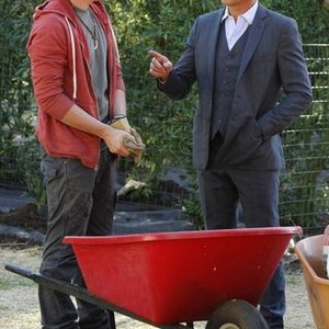 Paul David Story - Rotten Tomatoes