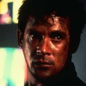 Virtual Assassin - Rotten Tomatoes