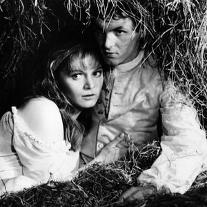 Letícia Román - Rotten Tomatoes