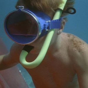 Flipper: Season 1, Episode 2 - Rotten Tomatoes