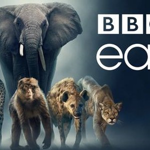 BBC Earth - Rotten Tomatoes