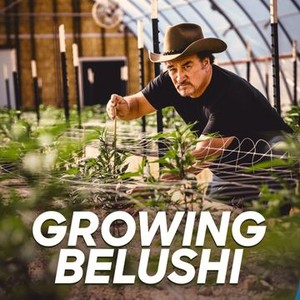Growing Belushi - Rotten Tomatoes