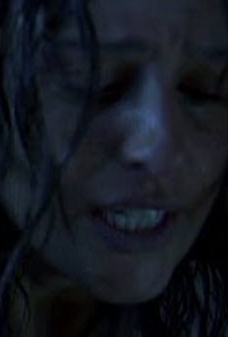 House - Season 3 Episode 24 - Rotten Tomatoes