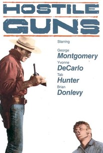 Hostile Guns (1967) - Rotten Tomatoes