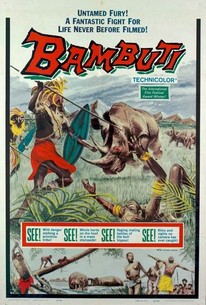 Bambuti | Rotten Tomatoes