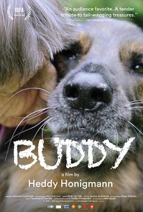 Buddy | Rotten Tomatoes