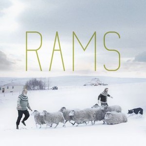 Rams - Rotten Tomatoes