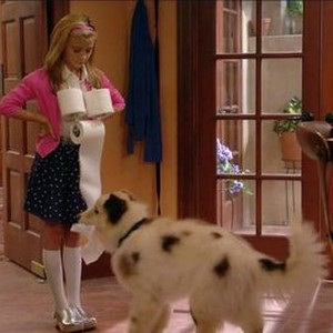 Dog With a Blog: Season 1, Episode 2 - Rotten Tomatoes