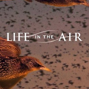 Life in the Air - Rotten Tomatoes