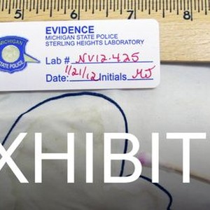 Exhibit A - Rotten Tomatoes