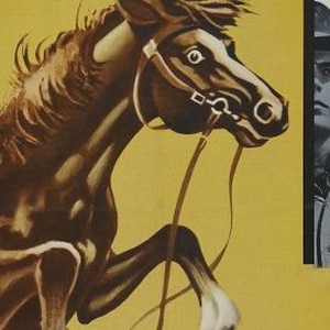 He Rides Tall - Rotten Tomatoes