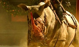 Gladiator II - Trailers & Videos | Rotten Tomatoes