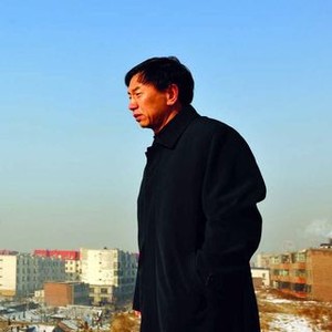The Chinese Mayor - Rotten Tomatoes
