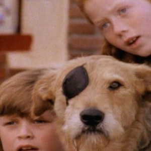 Sherlock Bones, Undercover Dog - Rotten Tomatoes