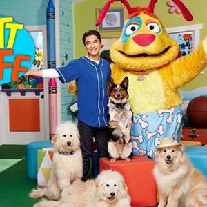 Mutt & Stuff - Rotten Tomatoes