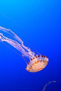 Man v. Animal: Season 1, Episode 2 | Rotten Tomatoes