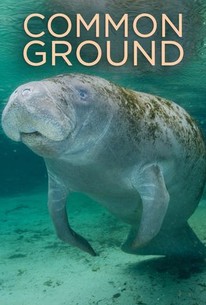 Common Ground | Rotten Tomatoes