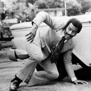 Fred Williamson - Rotten Tomatoes