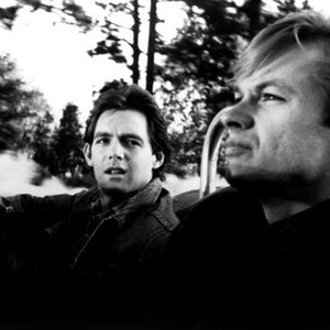 Todd Allen - Rotten Tomatoes