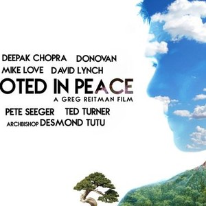 Rooted in Peace - Rotten Tomatoes