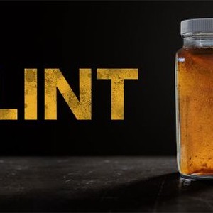 Flint - Rotten Tomatoes