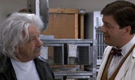 I.Q. - Rotten Tomatoes