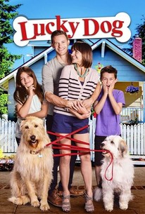 Lucky Dog | Rotten Tomatoes