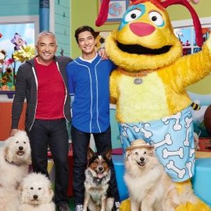 Mutt & Stuff - Rotten Tomatoes