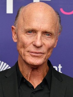 Ed Harris Movies Ed Harris List Of Movies And TV Shows TV Guide