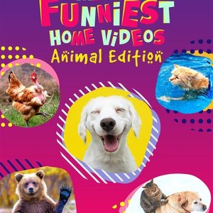 America's Funniest Home Videos: Animal Edition - Rotten Tomatoes