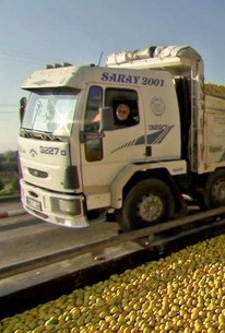 How Do They Do It?: Season 13, Episode 2 | Rotten Tomatoes